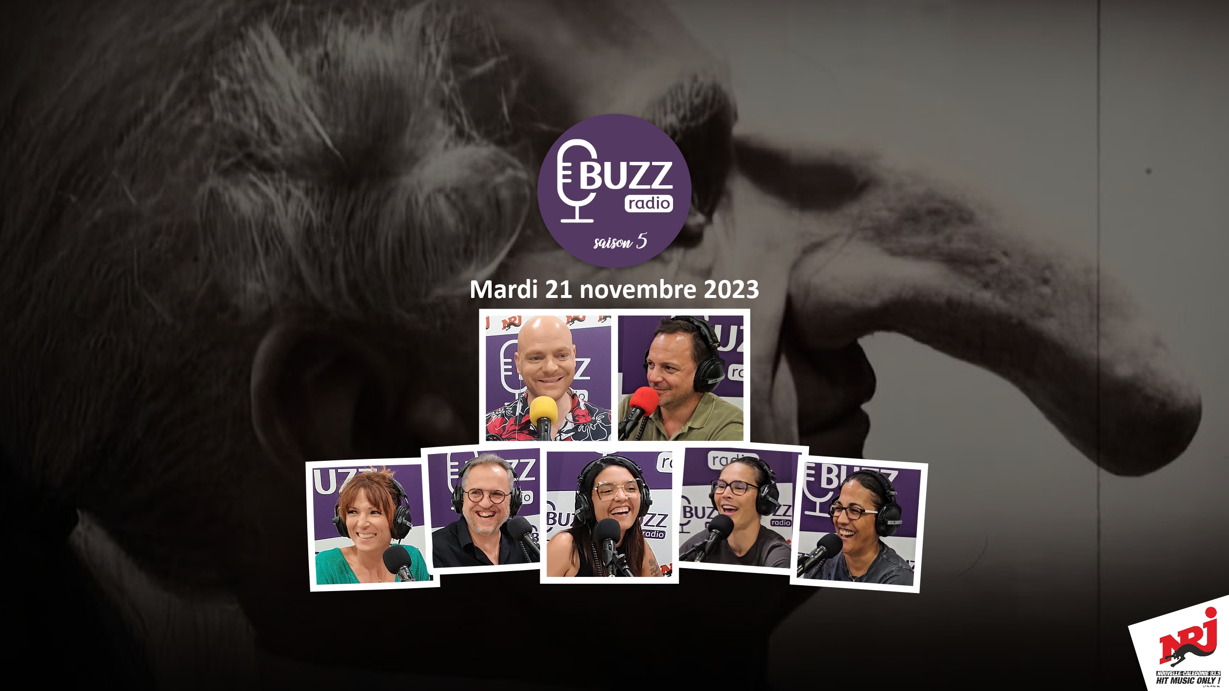 Mardi 21 novembre 2023 - Buzz Radio | NRJ Nouvelle Calédonie